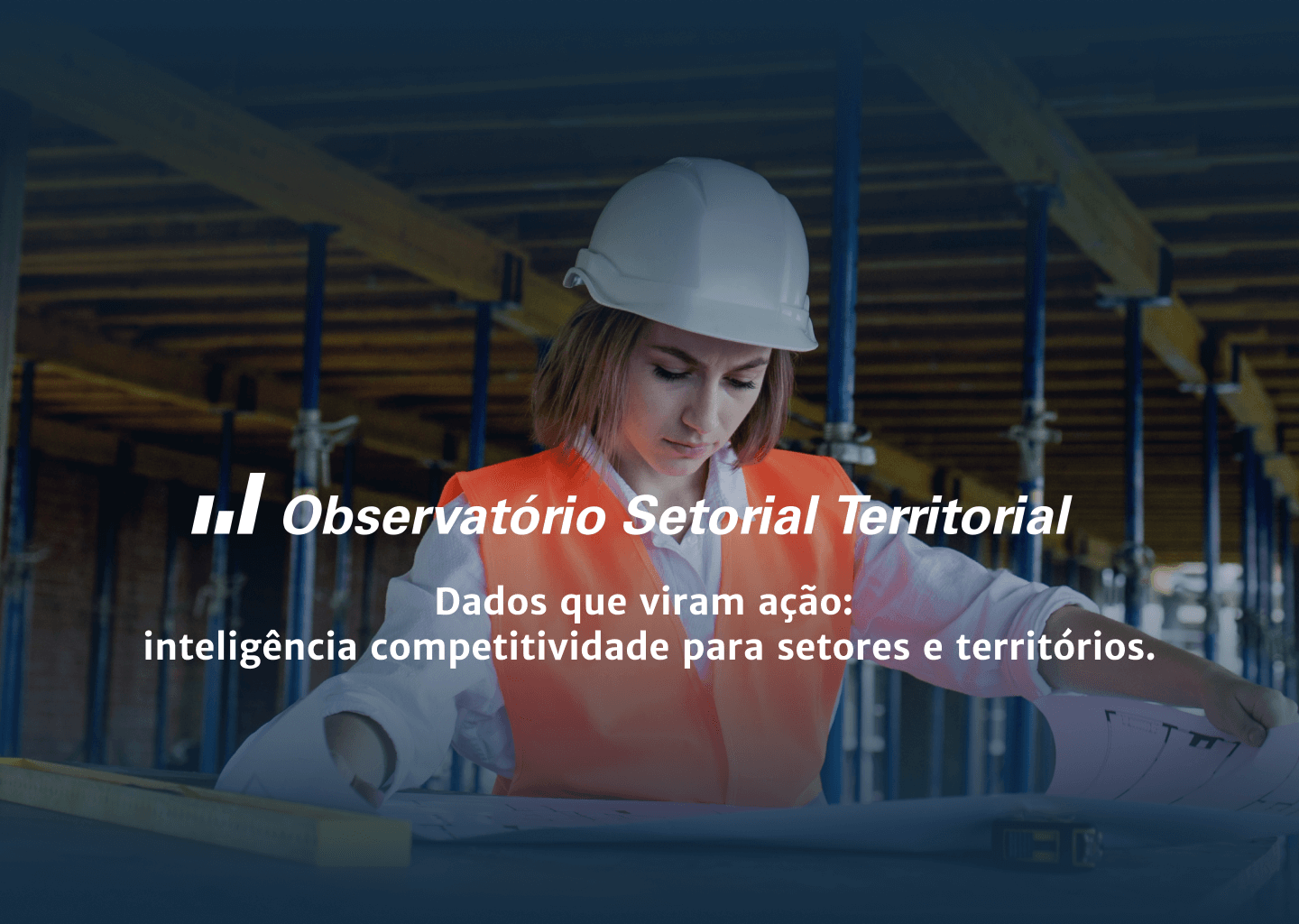 Observatório Setorial Territorial